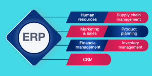 Starting the ERP System Development Process